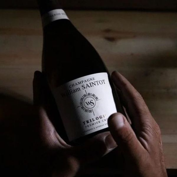 Trilogie Premier Cru 2022 William Saintot | EnotecaCollova.com